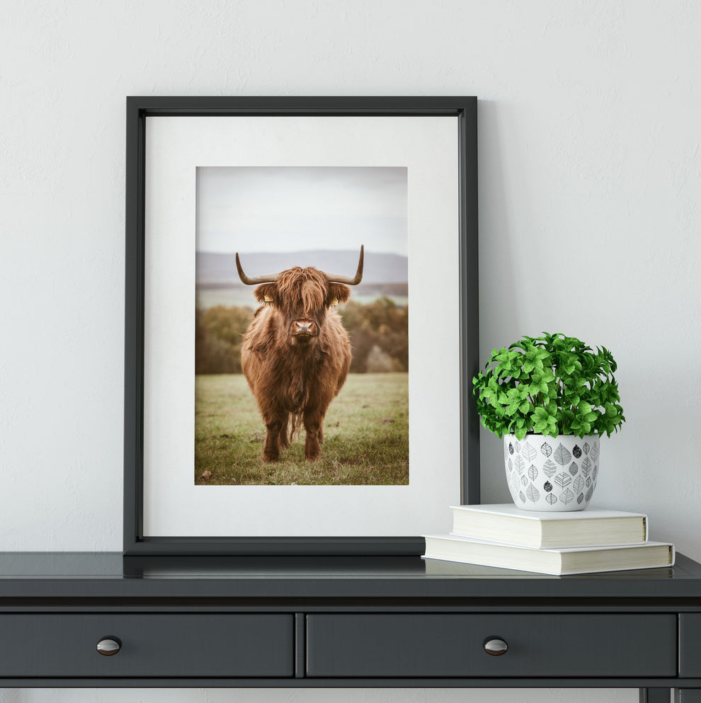 Framed Set of 3 prints highland cow print gallery wall art set ...